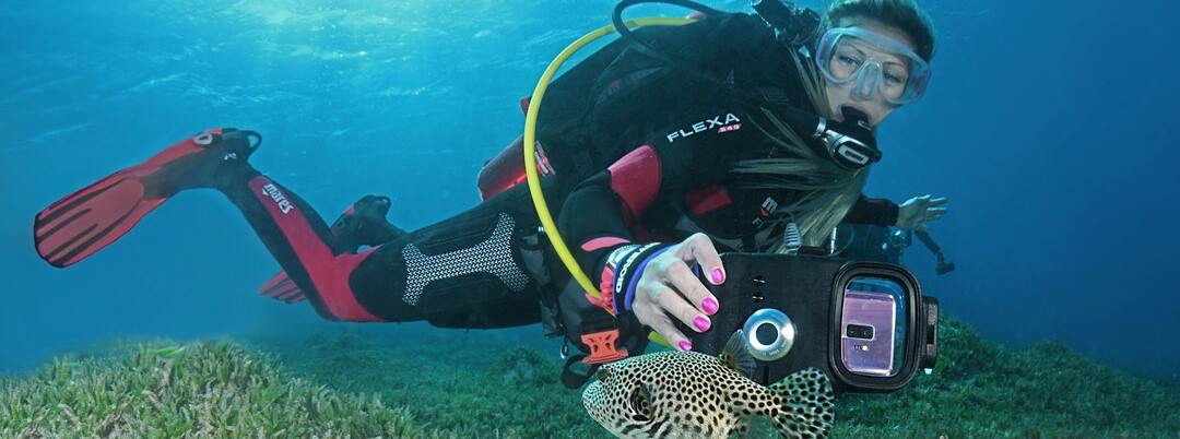 Under Water Photography, Scuba diving course in Siquijor – Dive Point ...